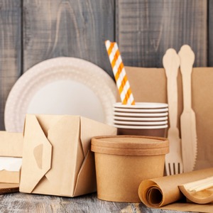 Descartáveis | Leroy Merlin