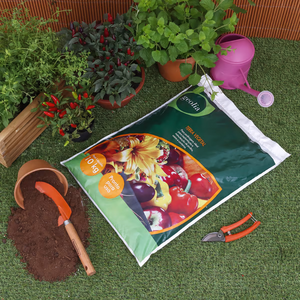 As 7 melhores marcas de substrato