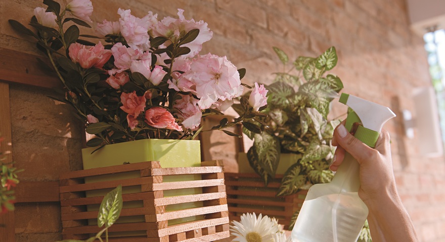 Varanda com deck | Leroy Merlin