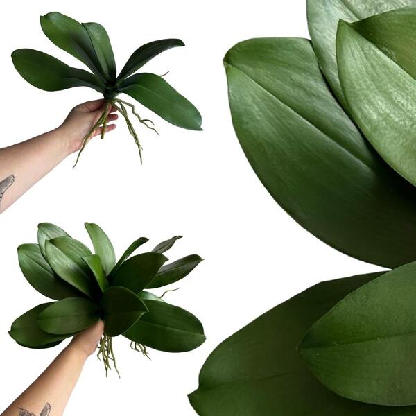 4 Folhas Decorativas De Orquídea Artificial Silicone Flexível Realista ...