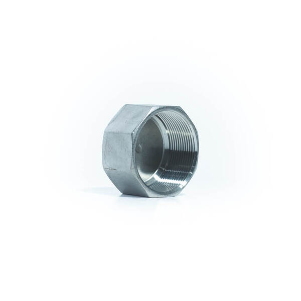 Aci-10 Caps/tampão Sextavado Aço Inox 316 Rosca Bsp Ø1.1/2 | Leroy Merlin