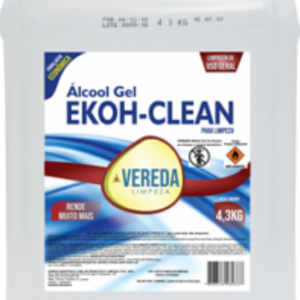 Álcool Gel Ekoh-clean | Leroy Merlin