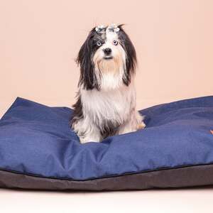 Almofada Para Cachorro Mabuu Pet - Nylon Azul - P | Leroy Merlin