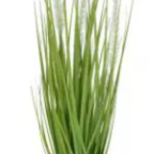 Arranjo Grass Artificial Verde Creme 53cm | Leroy Merlin