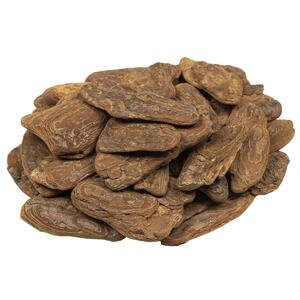 Casca De Pinus Polida Tamanho G 5kg | Leroy Merlin