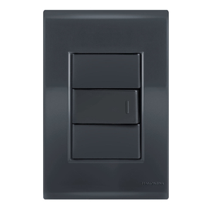 Conjunto 1 Interruptor Simples - Tramontina Liz Grafite - Tlg001 | Leroy Merlin