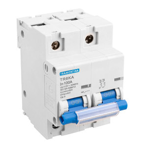Disjuntor Bipolar 100a Curva C Tramontina Tr6ka | Leroy Merlin