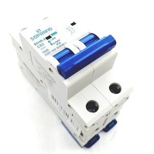 Disjuntor Din Bipolar Cuva C 70A Steck | Leroy Merlin