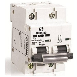 Disjuntor Bipolar Din Curva C 10ka 70a | Leroy Merlin