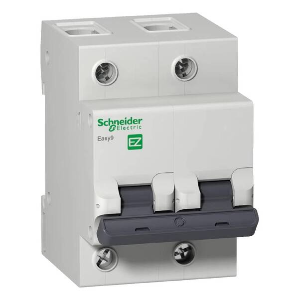 Disjuntor Din Bipolar Curva C 2P 125A Easy9 Schneider | Leroy Merlin