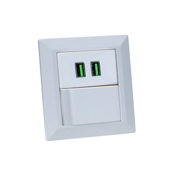 Espelho De Tomada Duplo Chanfrado 1 Interruptor 2usb 4.9a Br | Leroy Merlin