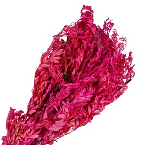 Flor Desidratada Caroba Rosa | Leroy Merlin