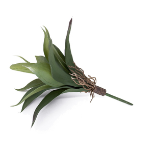 Folha Artificial Agave Com Raiz X13 Para Arranjos Verde 25 Cm F04 - D ...