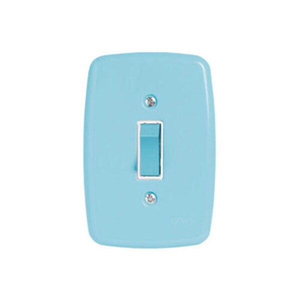 Interruptor De 1 Tecla Simples Com Placa 4x2 Azul | Leroy Merlin