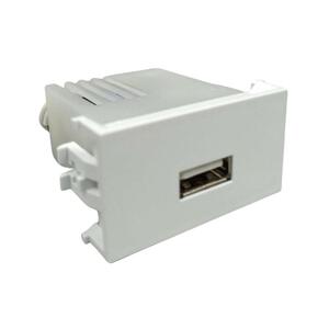 Kit 10 Modulo Carregador Usb Bivolt Talari | Leroy Merlin