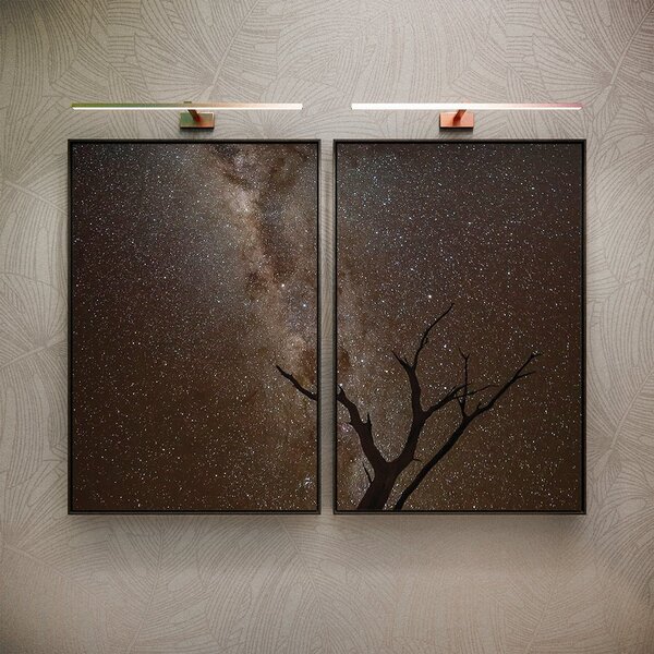 Kit 2 Telas Canvas Com Moldura Galho E Céu Estrelado | Leroy Merlin
