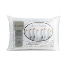Kit 2 Travesseiro Pluma Ganso Confortável Antiacaro 70x50cm | Leroy Merlin