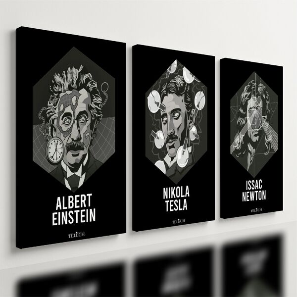 Kit 3 Quadro Decorativo Física Einstein Tesla Newton Ciencia 28x20cm ...