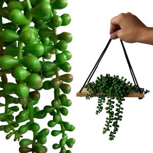 Kit 9 Suculentas Pendentes Silicone Artificial Decorativa Luxo Realista ...
