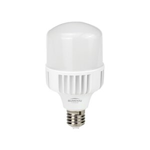 Lâmpada Led Blumenau T80 30w E27 Bivolt 6500k Luz Branca | Leroy Merlin