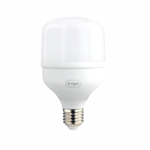 Lâmpada Led Ence E27 6500k Autovolt Luz Branca 30w - T70 | Leroy Merlin