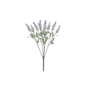 Lavanda Lilás | Leroy Merlin