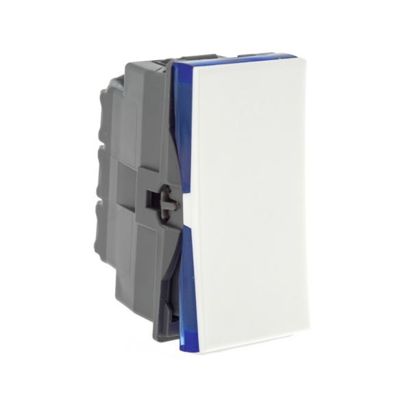 Módulo Interruptor Simples 10a 250v Pial Plus Branco Legrand Leroy