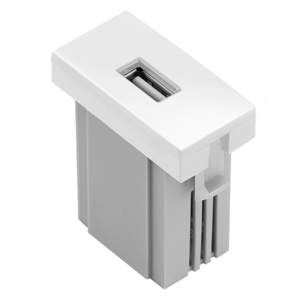 Módulo Tomada Usb 2a - Alumbra Inova - 85549 | Leroy Merlin