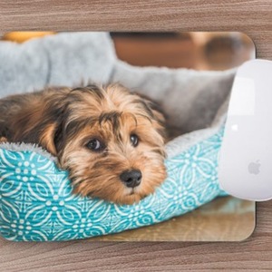 Mouse Pad Shih Tzu | Leroy Merlin