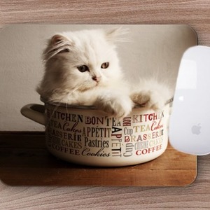 Mouse Pad Coleção Gatos Persa O Mais Popular | Leroy Merlin