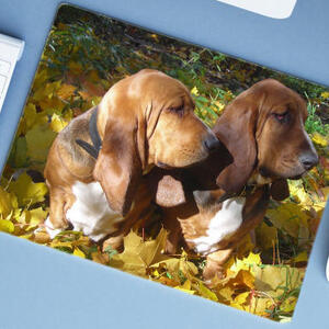 Mouse Pad Grande Basset | Leroy Merlin