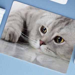 Mouse Pad Grande, Escocês | Leroy Merlin