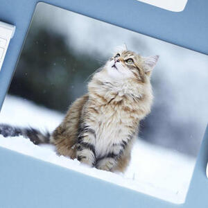 Mouse Pad Grande Siberiano | Leroy Merlin