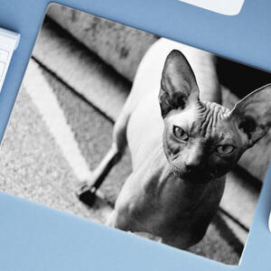 Mouse Pad Grande Sphynx | Leroy Merlin