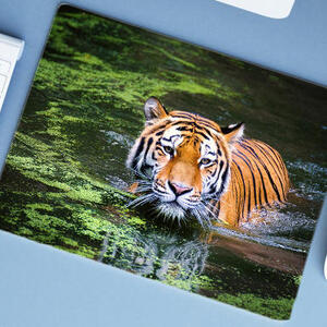 Mouse Pad Grande, Tigre | Leroy Merlin