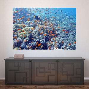 Painel Adesivo De Parede - Coral - 467png | Leroy Merlin