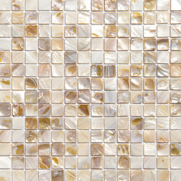 Pastilhas De Madrepérola (palmer) | Leroy Merlin