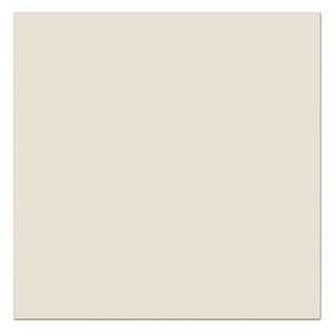 Piso Cerâmico Monocolor Bege Brilhante Borda Reta Interno 60x60cm ...