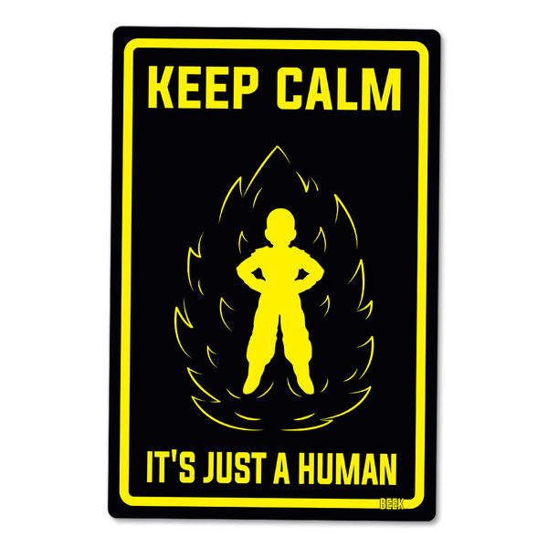 Placa Decorativa 24x16 Just A Human | Leroy Merlin