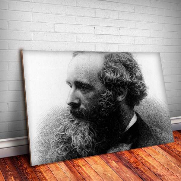 Placa Decorativa James Clerk Maxwell 5 Mdf 30x45cm | Leroy Merlin