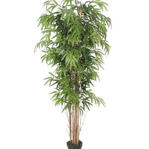Planta Bambu Caule Natural Permanente 1 80 Cm | Leroy Merlin
