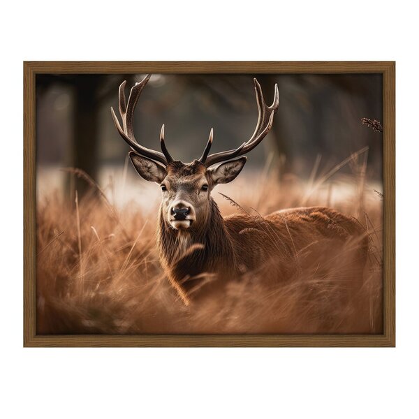 Quadro 60cm X 80cm Animal Cervo Tropical Artes Freijó | Leroy Merlin