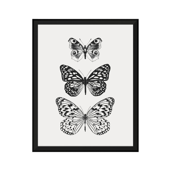 Quadro Animal Farfalla com Vidro 30x40cm Tropical | Leroy Merlin