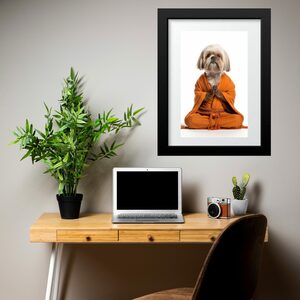 Quadro Cão Shih Tzu Meditando - 60x48cm Moldura Preta | Leroy Merlin