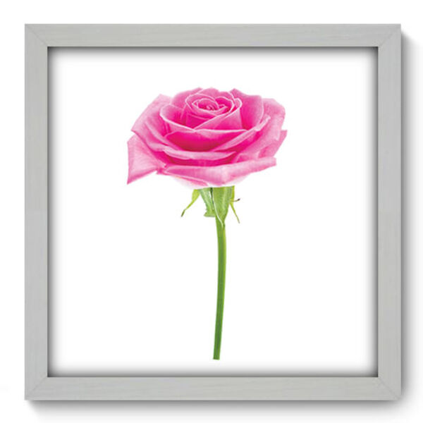 Quadro Decorativo - Rosa - 33cm X 33cm - 084qdfb | Leroy Merlin