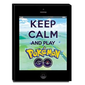 Quadro Keep Calm And Play Pokemon Go Canvas 40x30cm-kca106 | Leroy Merlin