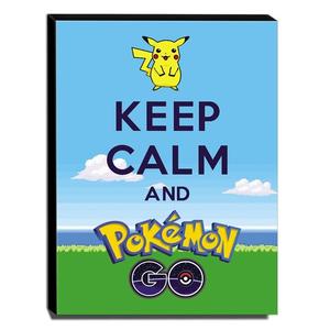 Quadro Keep Calm And Pokemon Go Canvas 40x30cm-kca101 | Leroy Merlin