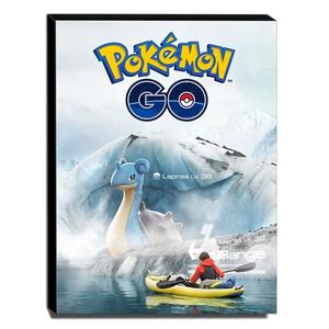 Quadro Pokémon Go Canvas 40x30cm-inf16 | Leroy Merlin