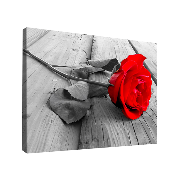 Quadro Rosa | Leroy Merlin