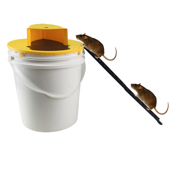 Ratoeira Pega Rato Armadilha Com Balde 18 Litros Captura Ratazana ...